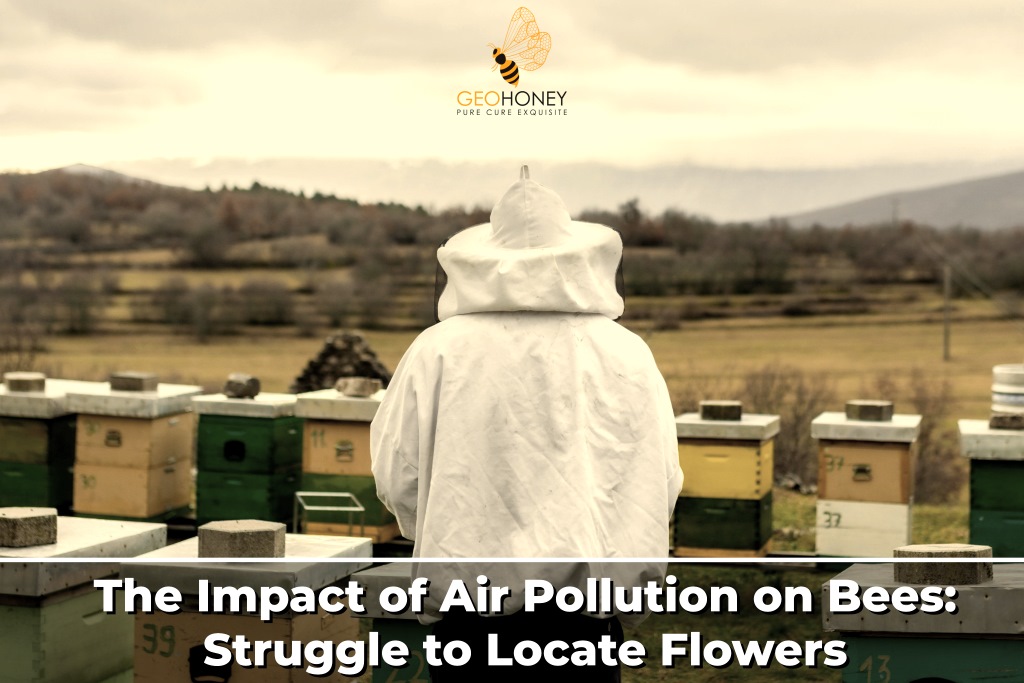 Struggle to Locate Flowers: Impact of Air Pollution on Bees