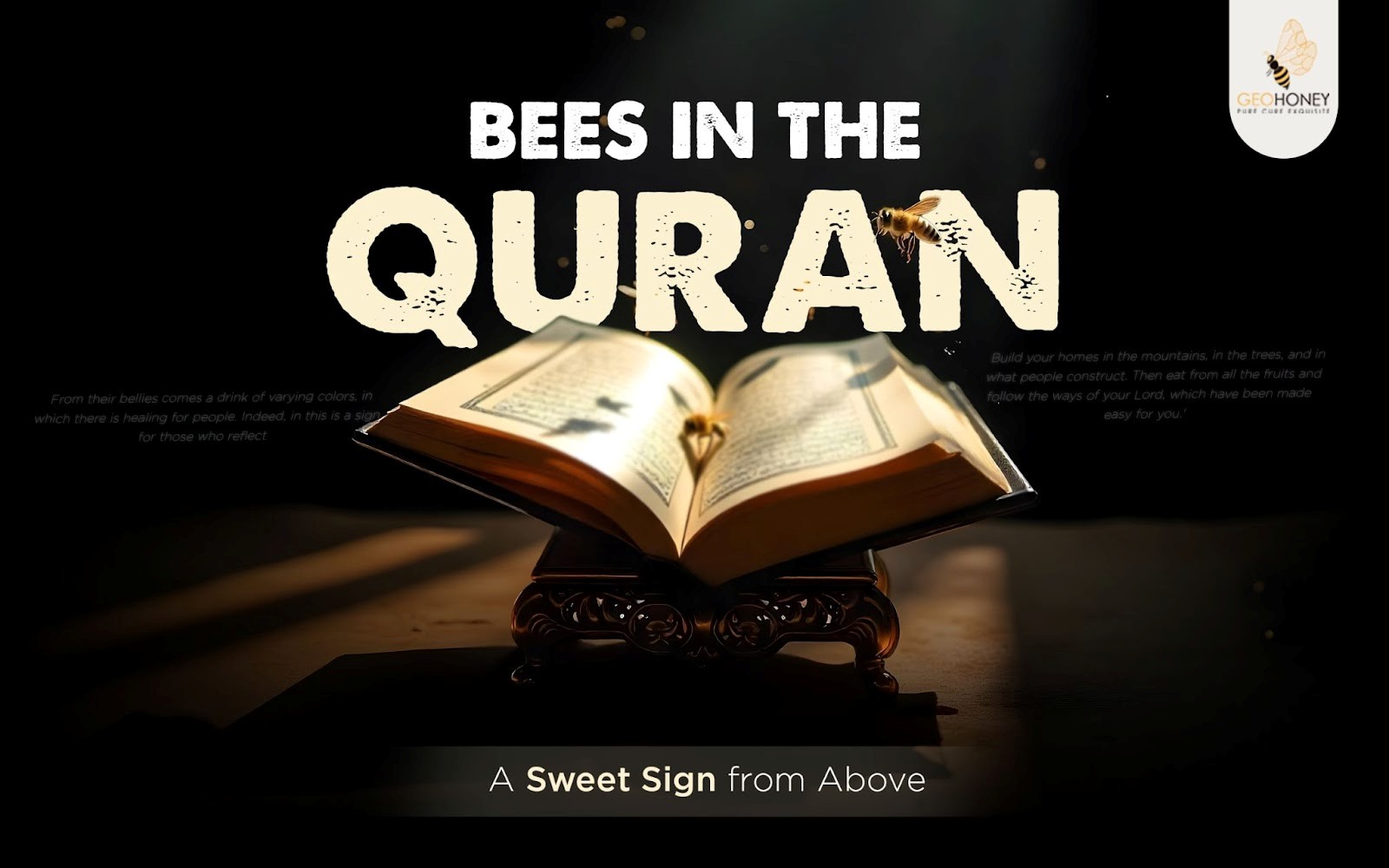 Bees in the Quran: A Sweet Sign from Above