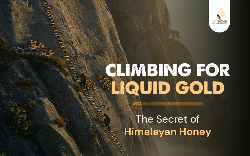 Climbing for Liquid Gold: The Secret of Himalayan Honey
