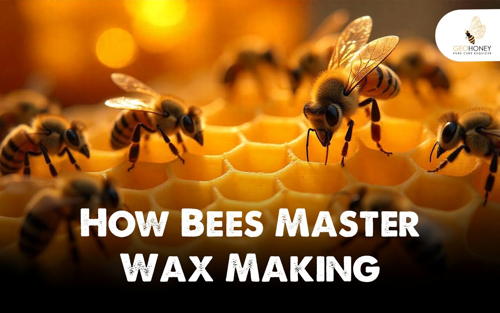 How Bees Master Wax Making?
