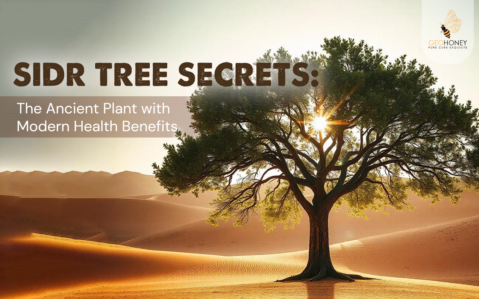 Sidr Tree Secrets: The Ancient Plant with Modern Health Benefits