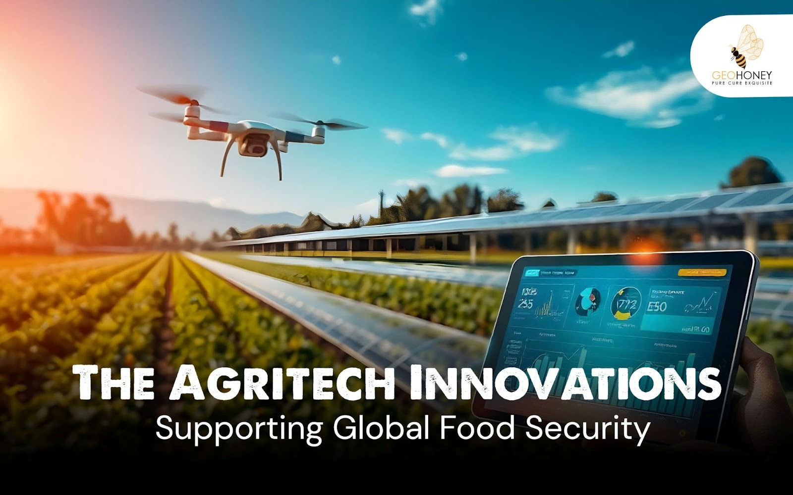 The Agritech Innovations Supporting Global Food Security