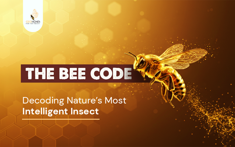 The Bee Code: Decoding Nature’s Most Intelligent Insect