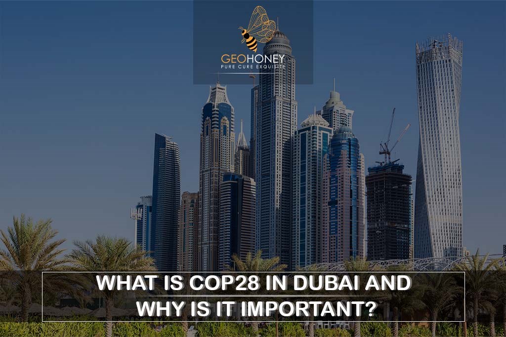 What Exactly is COP28 in Dubai, and Why is it Significant | Geohoney